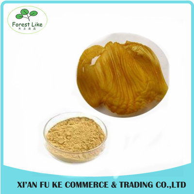 Chinese Traditional Medicine Stomachic and Aid Digestion Function Chicken's Gizzard Membrane Extract supplier