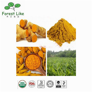 Herbal Turmeric Root Extract Powder 95 % Turmeric Curcumin supplier