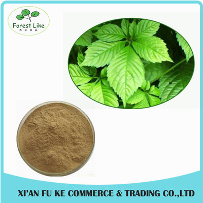 Wholesale Natural Saponins 20 %- 98 % Gynostemma Extract for Lower Blood Pressure and Lipid supplier
