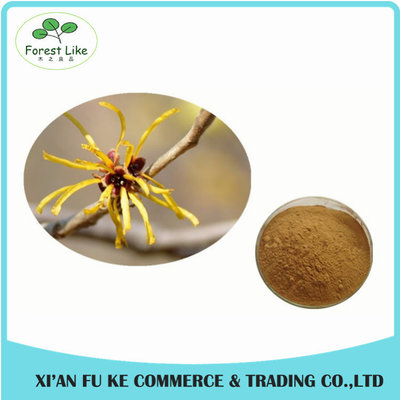 Superior Quality Featured Product 5%-98%Chlorogenic Acid Honeysuckle Flower Extract supplier
