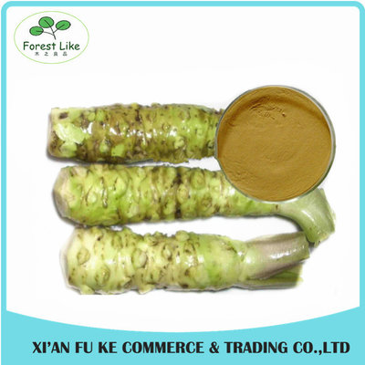 Hot Sale Free Sample Fresh Horseradish Extract Powder supplier