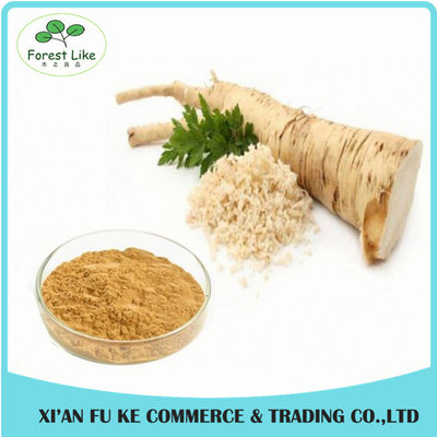 Hot Sale Free Sample Fresh Horseradish Extract Powder supplier