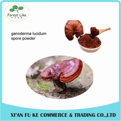 Reishi Mushroom / Lucid Ganoderma Extract Polysaccharides 10% - 60% supplier