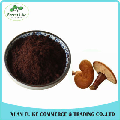 Reishi Mushroom / Lucid Ganoderma Extract Polysaccharides 10% - 60% supplier