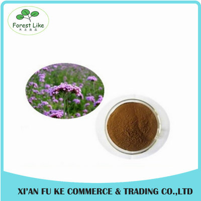 Competitive Price Natural Chinese Herb European Verbena Extract /Blue Vervain supplier
