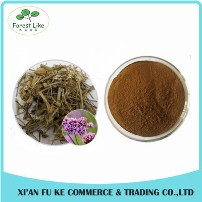 Competitive Price Natural Chinese Herb European Verbena Extract /Blue Vervain supplier