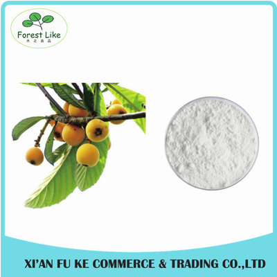 Free Sample Loquat Leaf Extract Ursolic Acid 90 % supplier