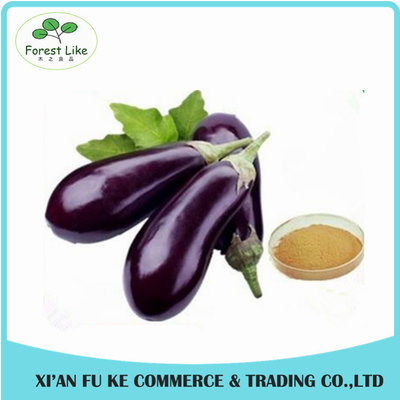 100% Water Soluble Anti-aging Eggplant Extract for Skin Cancer supplier