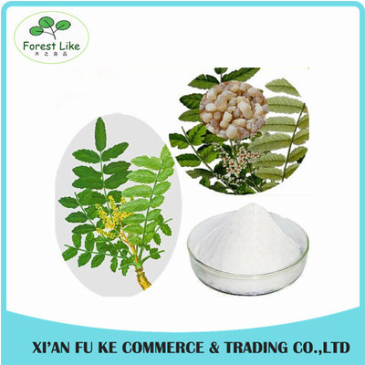 Mastic Gum Powder Olibanum /Frankincense Extract Boswellic Acid 65% supplier