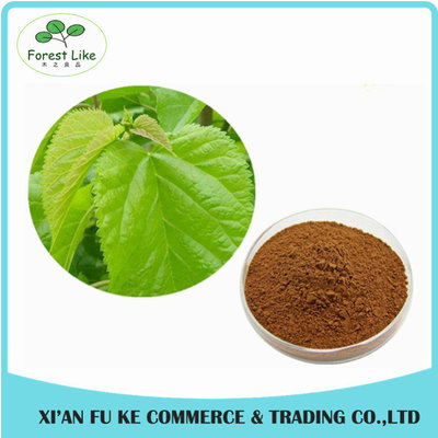 High Quality Mulberry Leaf Extract Powder/Natural Mulberry Extract 1% 1-Deoxynojirimycin(1-DNJ) supplier