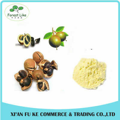 50 % - 98 % Tea Saponins Camellia Oleifera Seed Extract supplier