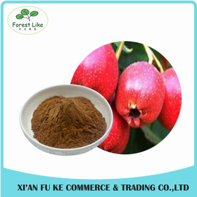 Anti Aging Fresh Hawthorn Extract Hawthorn Flavones supplier