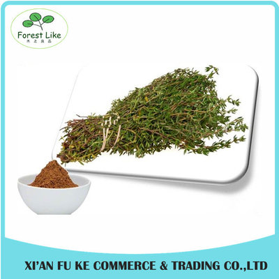 New Design Spices Product Antibacterial Effect Dry Thyme Leaf Extract supplier