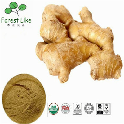 Natural Colorant Ginger Extract Powder 10% 20% 95% 98% Curcumin supplier