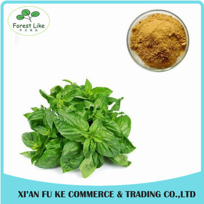 Hot Selling Herbal Extract Holy Basil Leaf Extract 4:1 - 20:1 supplier