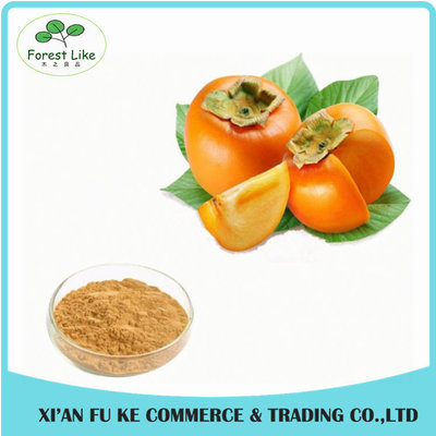 Reasonable Price Natural Fresh Persimmon Fruit Extract supplier
