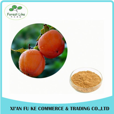 Reasonable Price Natural Fresh Persimmon Fruit Extract supplier