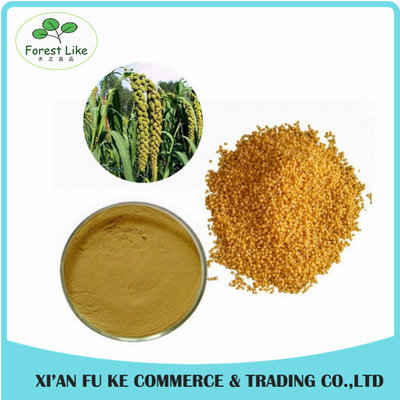 100% Pure Natural Non GMO Kosher Halal Certified 10:1 Purple Corn Seed Extract Powder supplier