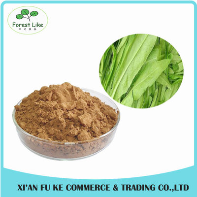Manufacturer Supply Low Price Wild Lettuce Leaf Extract supplier