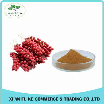 High Purity Pharmaceutical Organic Schisandra Extract Gallic Acid supplier
