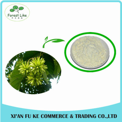 100% Natural Chaste Tree / Fructus Viticis Extract Powder supplier