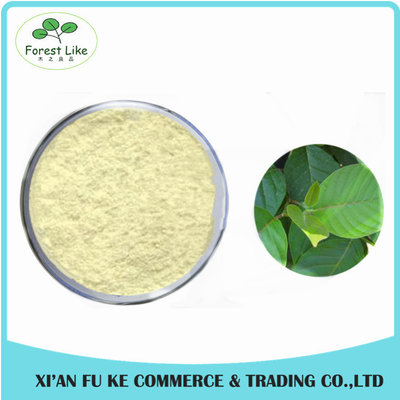 100% Natural Chaste Tree / Fructus Viticis Extract Powder supplier