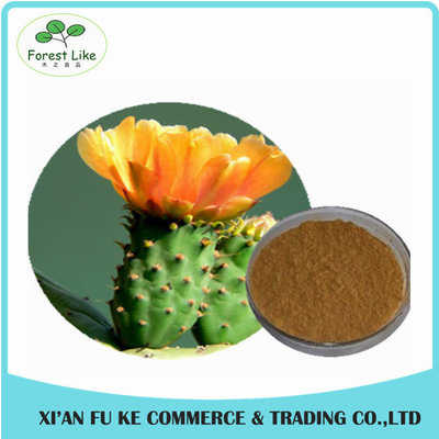 Factory Price Natural Cactus Extract / Cereus Extract for Medicine supplier