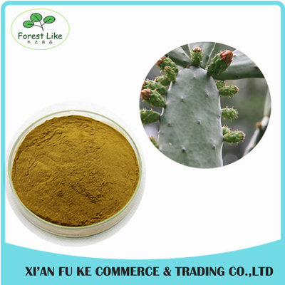 Factory Price Natural Cactus Extract / Cereus Extract for Medicine supplier