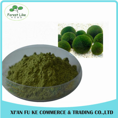 Nutrition Additive Raw Material of Cosmetic New Aga Product Chlorella Extract Powder supplier
