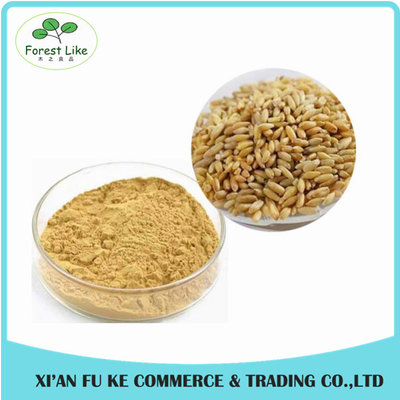 Best Selling Healthy Food Instant Oat Powder supplier