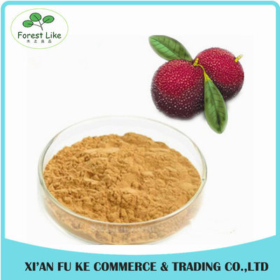 Hot Sale Plant Extract Red Bayberry Bark Extract supplier