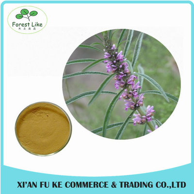 Clear Heart and Regulate Menses Natural Motherwort Herb Extract supplier