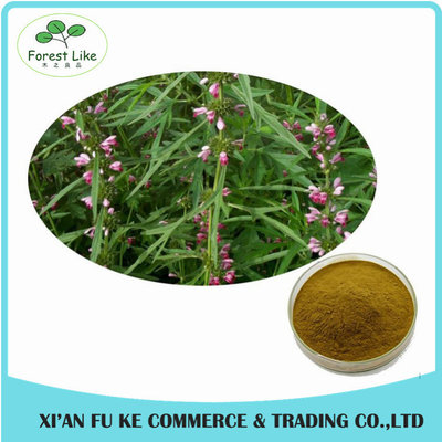 Clear Heart and Regulate Menses Natural Motherwort Herb Extract supplier