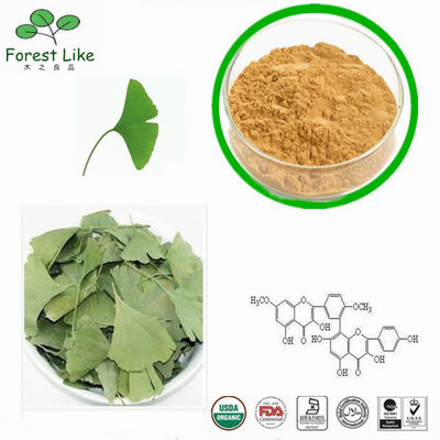 Water Soluble Top Sale 100%Herbal Medicine Ginkgo Biloba Leaf Extract supplier