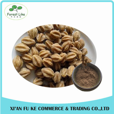 Bulk Quantity Pure Natural Insecticide Neem Seed extract supplier