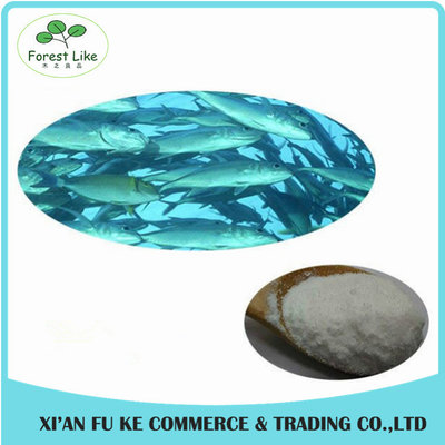 Skin Whiteing Function Beauty /Health Food Additive Fish Skin/Scole Collagen Powder supplier