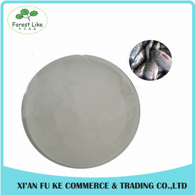 Skin Whiteing Function Beauty /Health Food Additive Fish Skin/Scole Collagen Powder supplier