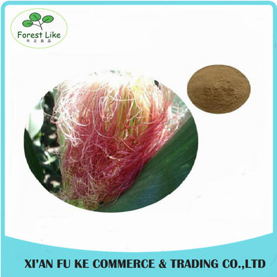 Manufacturer Direct Price Organic Corn Stigma Extract supplier