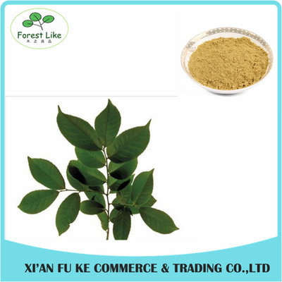 Zero Profit Pure Fine Skin Care Bay Leaf Extract supplier