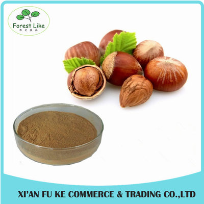 Anti-oxident Product Hazelnut Extract Powder 5:1 - 20:1 supplier