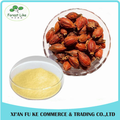 Reliable Manufacturer Supply Hot Products for Gardenia Jasminoides Ellis supplier