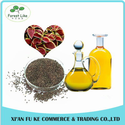 Wholesale Chinese Traditional Herbal Extract Perilla Fretescens Oil Extraction supplier