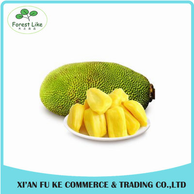 High Quality Natural Jackfruit Extract Powder supplier