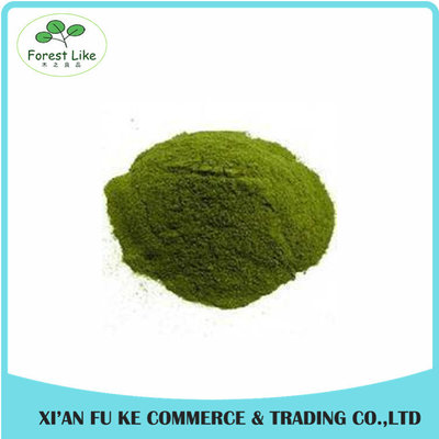 High Quality Green barley grass juice powder supplier
