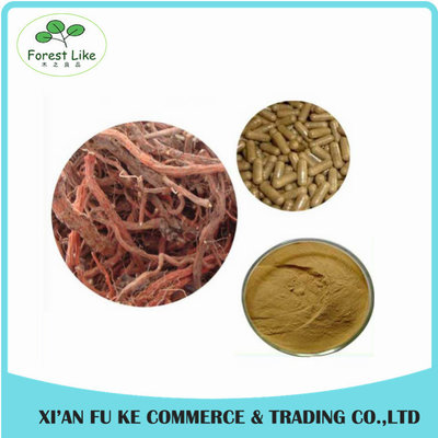 Strengthening Immune Systern and Fighting Cancer Plant Extract Red Ginseng Extract supplier