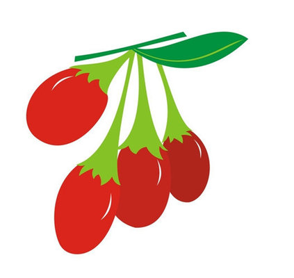 Hot Selling New Fresh Organic Dried Fruit Chinese Goji Berries supplier