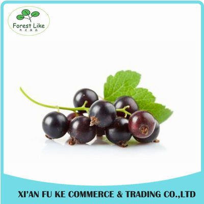 100% Natural Black Currant Fruit Powder supplier