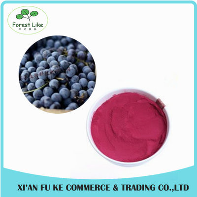 100% Natural Black Currant Fruit Powder supplier