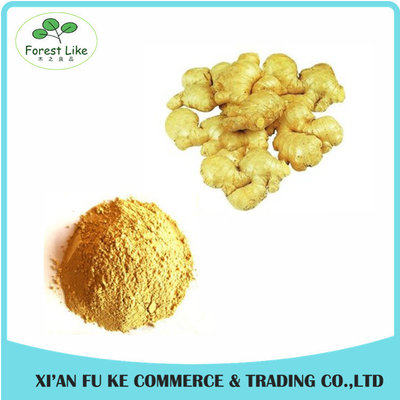 100% Natural Yellow Ginger Extract Powder 10 :1 supplier