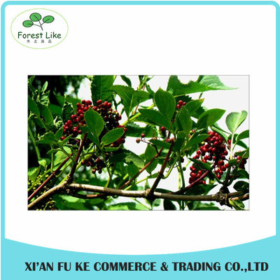 100% Natural Elderberry Extract Powder 10:1 20:1 supplier